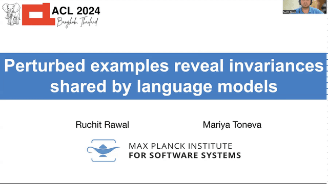 Underline | Perturbed examples reveal invariances shared by language models