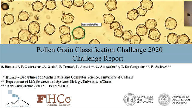 Underline | Introduction to the Pollen Grain Classification Challenge