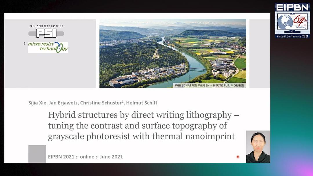 Hybrid structures achieved by direct writing laser lithography - tuning ...