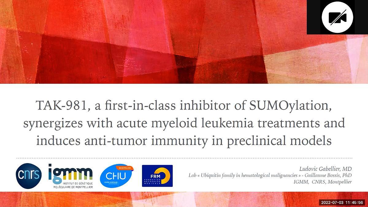 Underline | TAK-981, a first in class inhibitor of SUMOylation ...