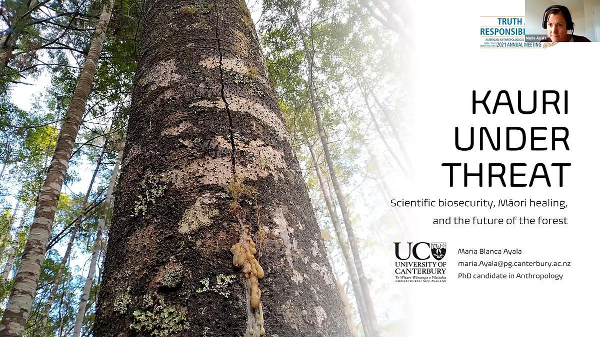 Underline Serial Killers In The Shadow Of An Ancient Kauri