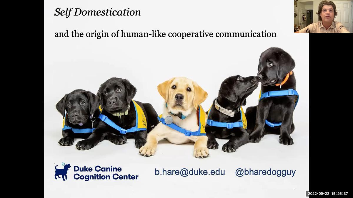 Underline | Dogs and humans evolved cooperative-communication through self-domestication