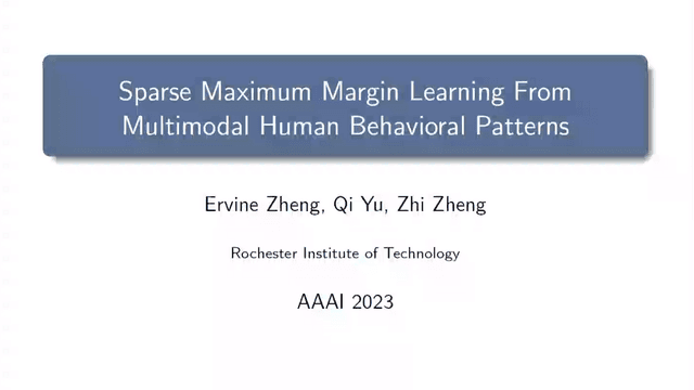 Underline Sparse Maximum Margin Learning From Multimodal Human Behavioral Patterns 