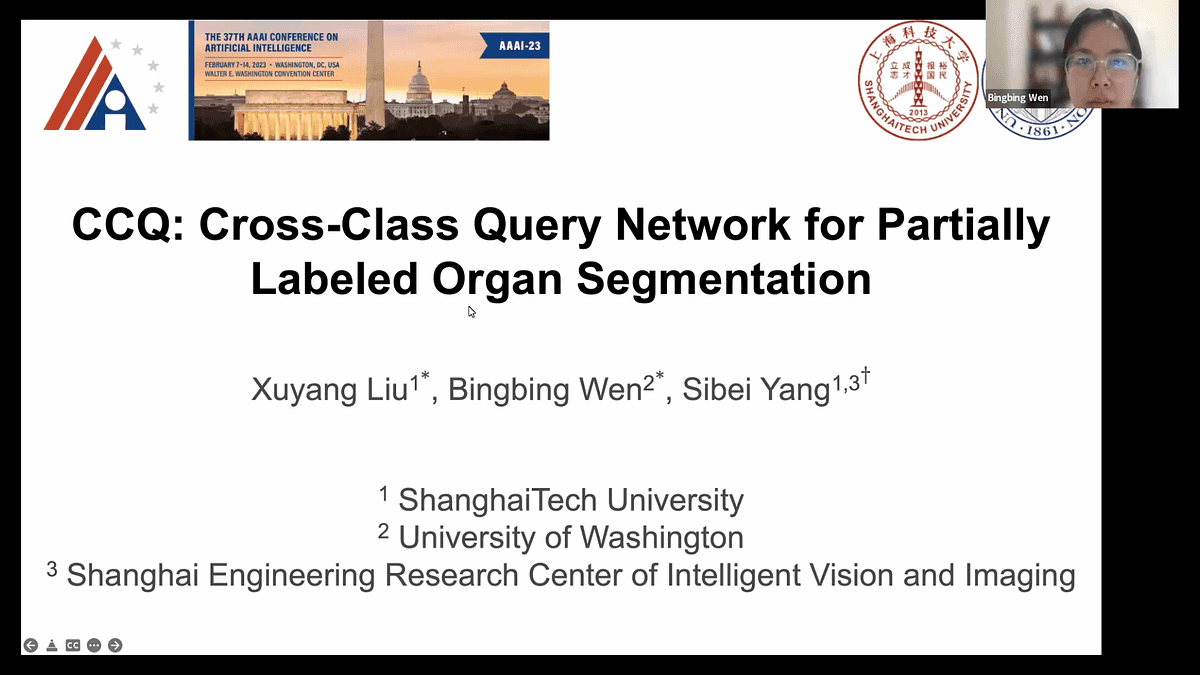 Underline | CCQ: Cross-class Query Network for Partially Labeled Organ ...