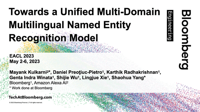 Underline | Towards a Unified Multi-Domain Multilingual Named Entity Recognition Model